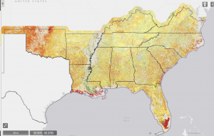 Client Projects - Pyrologix